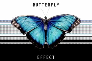 The butterfly effect: Definition and Benefits for businesses